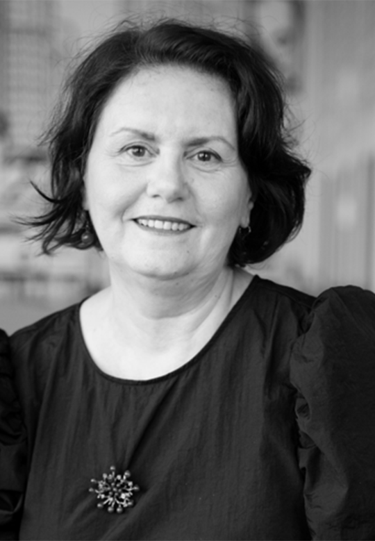 Carmen Ciuca, FCCA, ACI - Capital Markets Product Expert | Envisia ...
